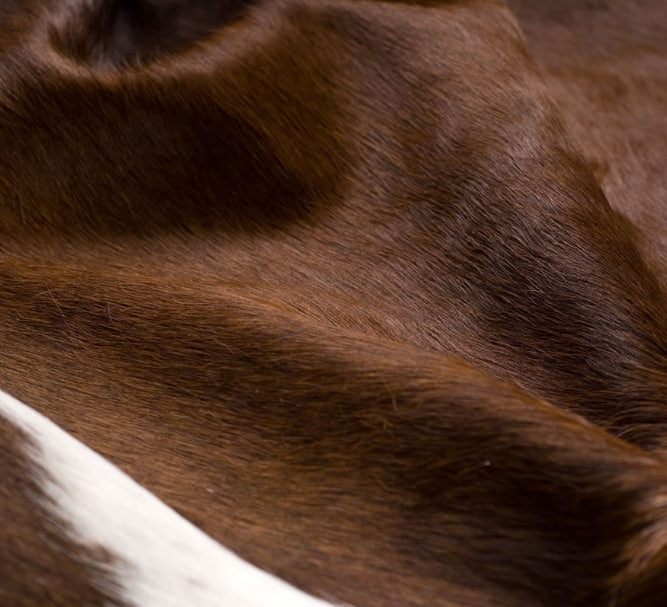 Fur, Hair-on-Hide – Full Grain